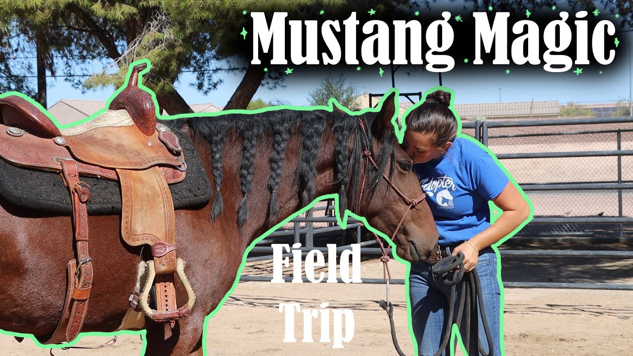 Vegas Field Trip w/a Wild Mustang | Mustang Magic 2023 - YouTube