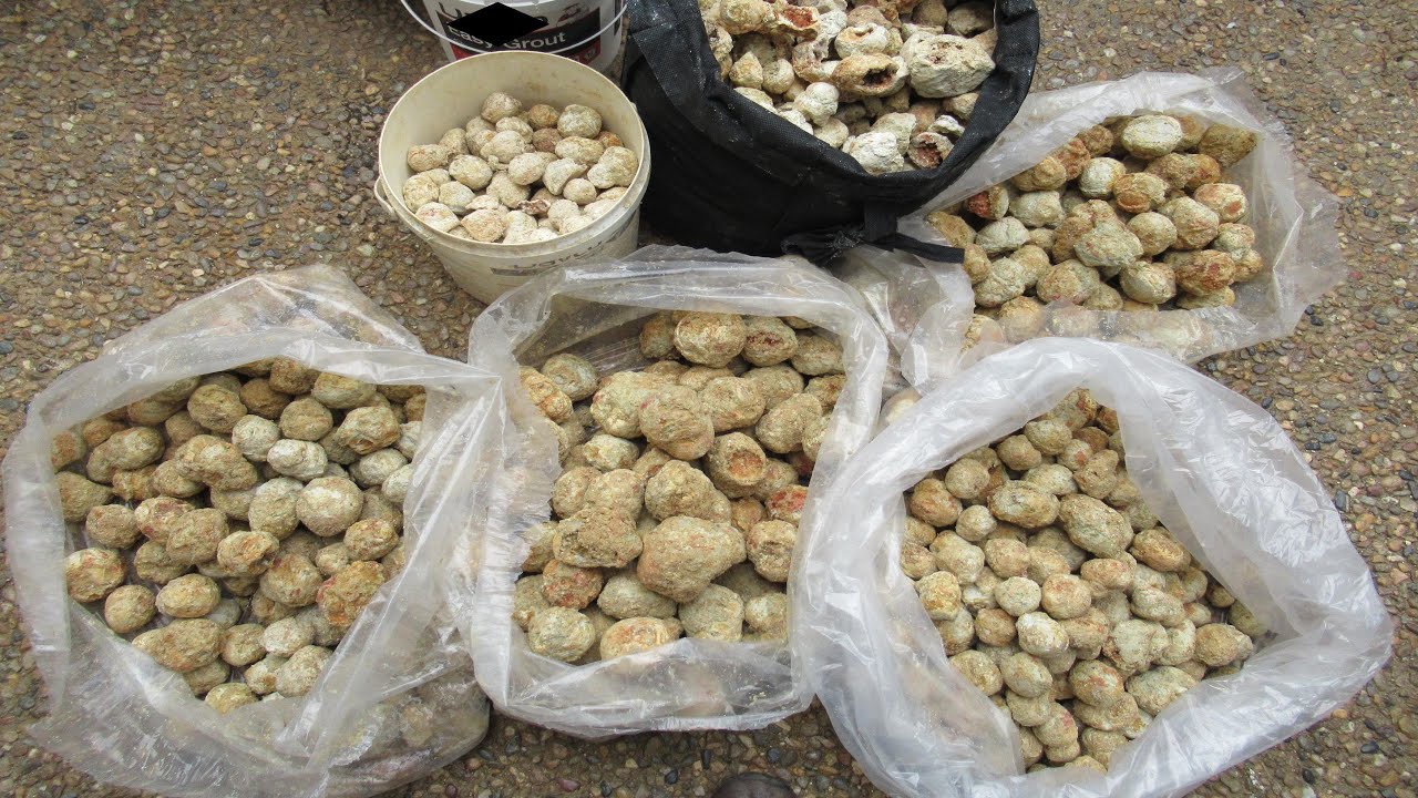 Dig and Collect Mooralla Smoky Quartz Crystals and Geodes | Mooralla ...