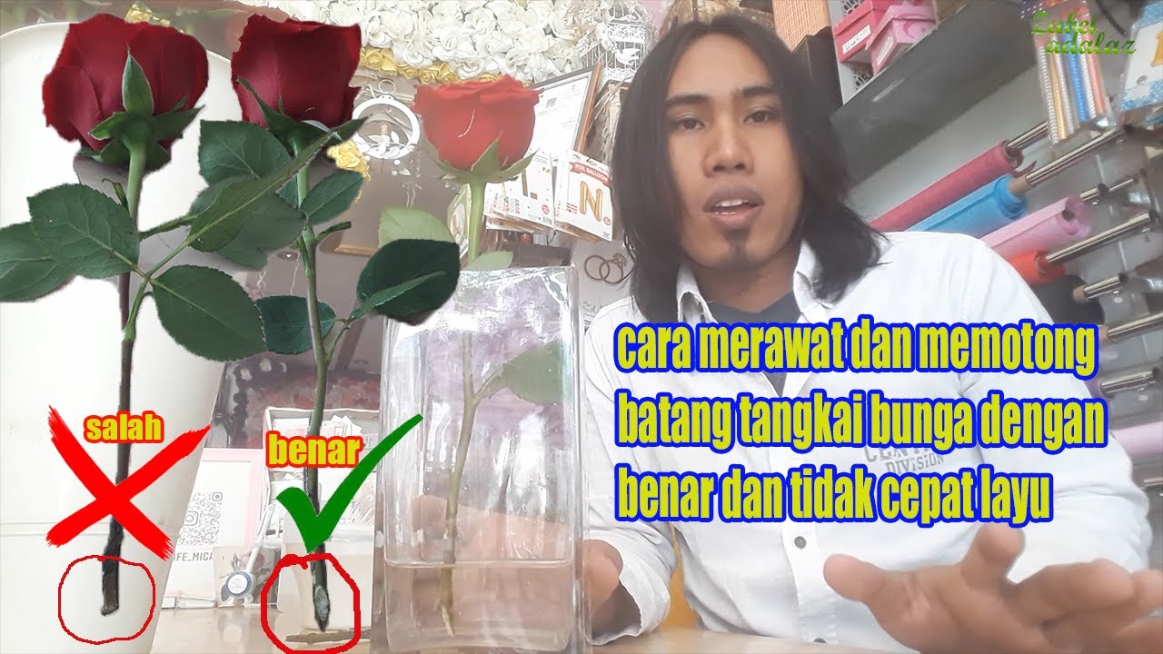 CARA MERAWAT DAN MEMOTONG TANGKAI BUNGA DENGAN BENAR #FLOWER# ...