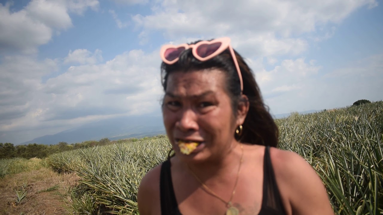 PATIKIM NG PINYA NI EKANG - YouTube