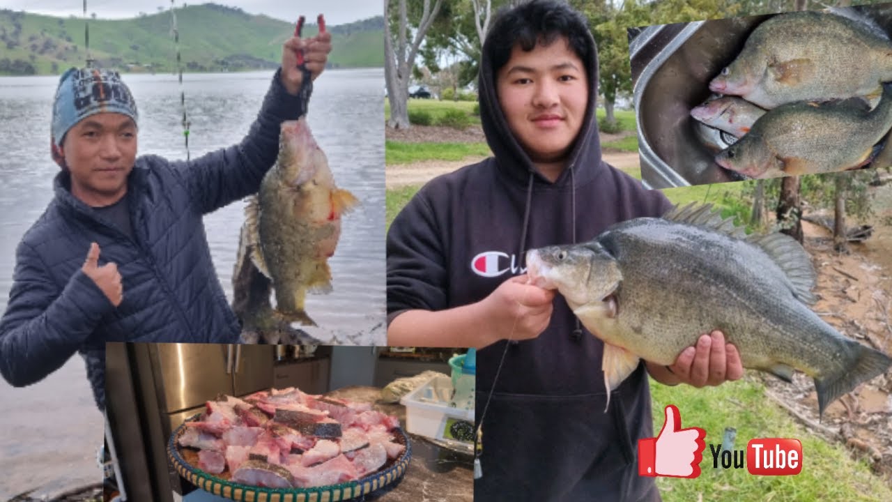 Yellow belly fishing continues 3 days Lake Hume Vic - YouTube