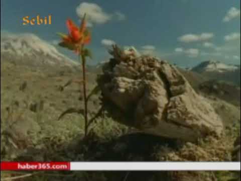 SEBİL TV | HASAN DURSUN - MEVLA'YA GİDER
