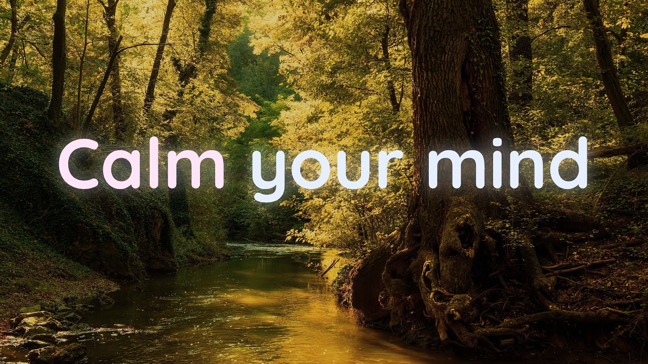 CALM YOUR MIND... Slow Motion Forest River & Nature Sounds - YouTube