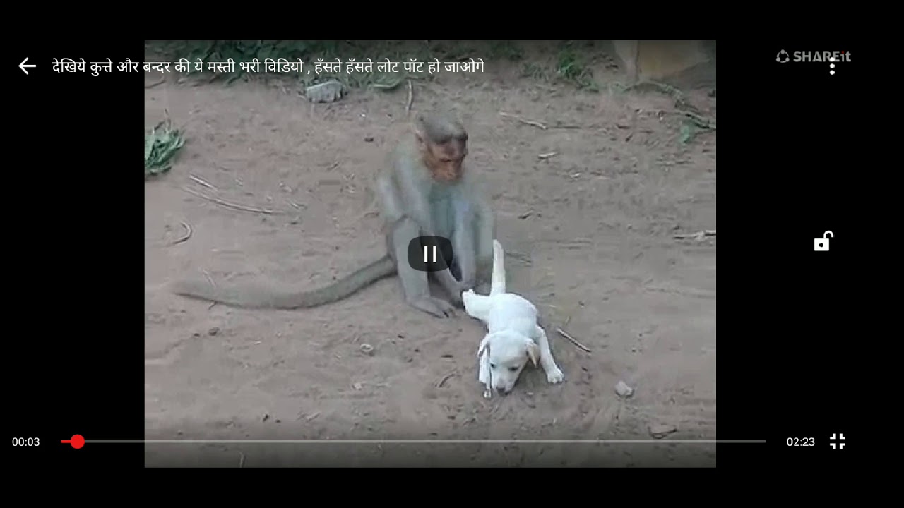Some real funny moments - YouTube