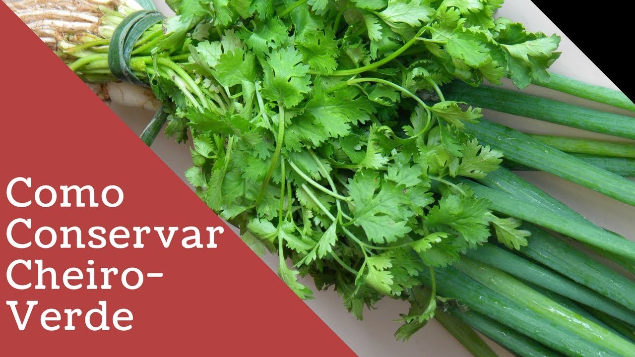 Como conservar cheiro-verde (para durar bastante) - YouTube