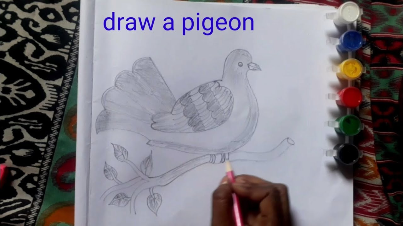 How to easy draw pigeon ,,Saral tarike se kabutar banaen - YouTube