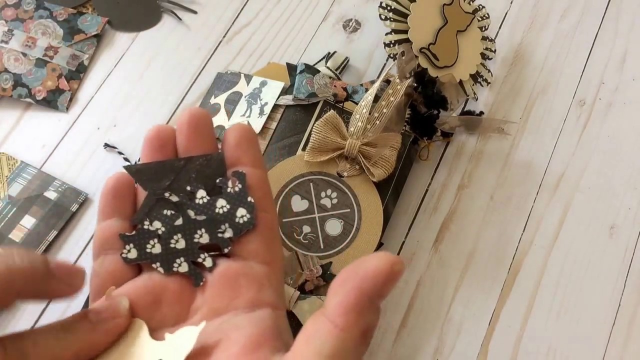 Cat Loaded Envelope - YouTube