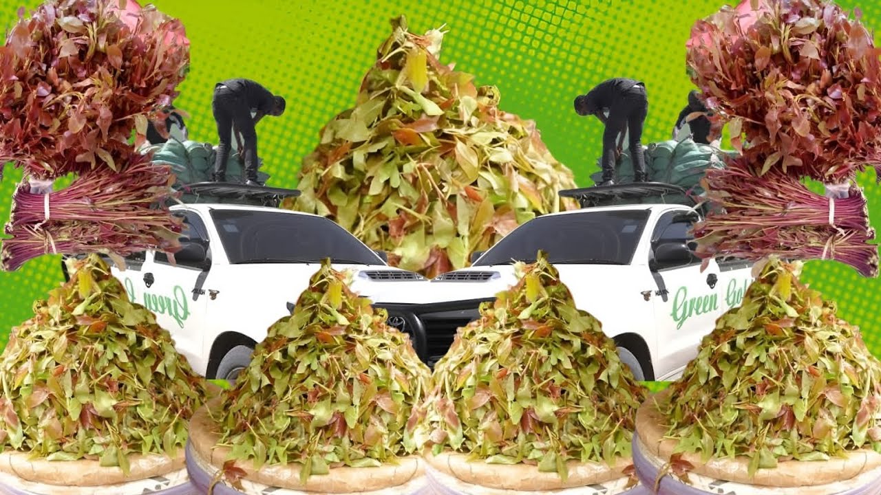 A LOOK AT THE KENYAN MIRAA AND JABA MARKET | NAIROBI NGARA [TSUNAMI ...