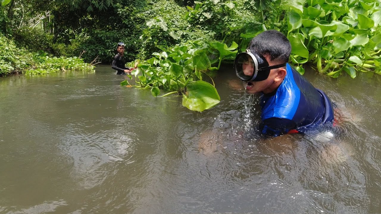 SE03EP054 - AHAS PAGONG sa ILALIM ng mga WATER LILIES | CHINESE SOFT ...