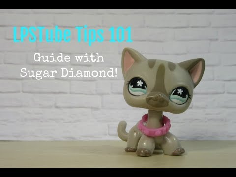 The Basics of Making an LPS Video! (READ DESCRIPTION) || Tips w/ Sugar ...