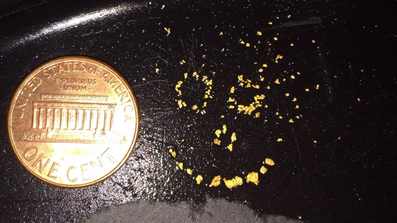 South Carolina prospecting - we got gold - YouTube