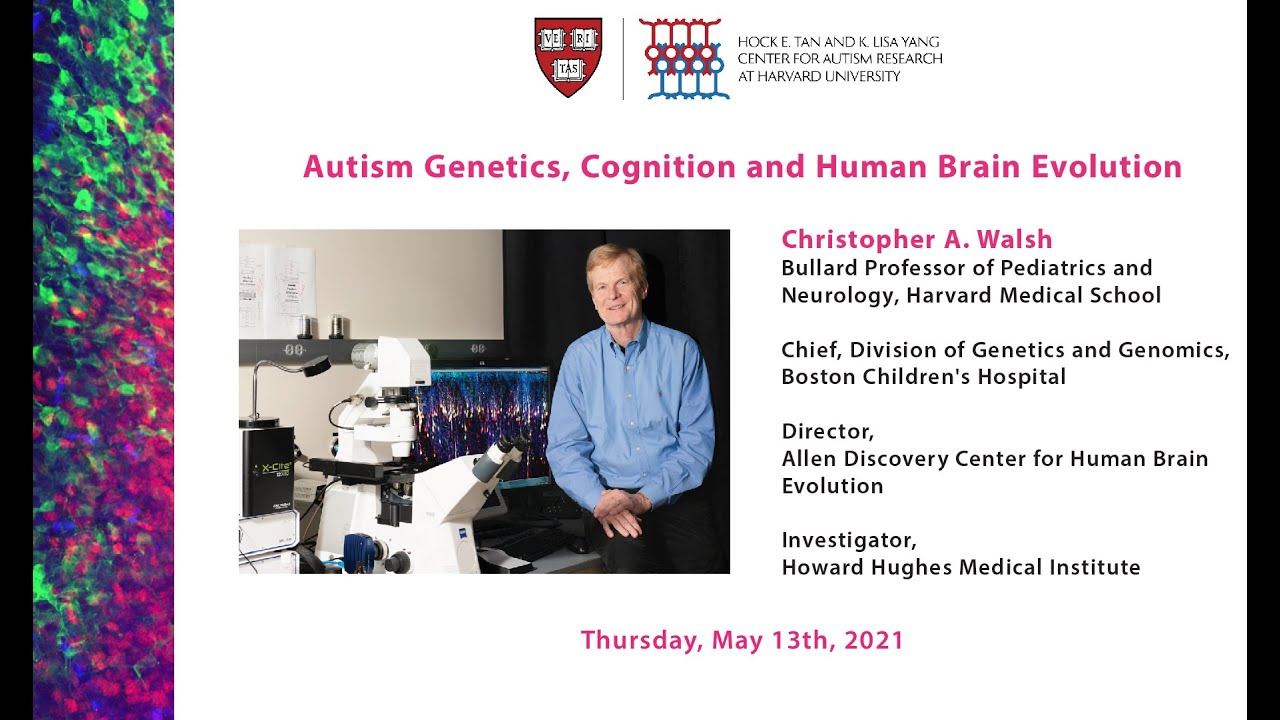 Autism Genetics, Cognition and Human Brain Evolution - YouTube