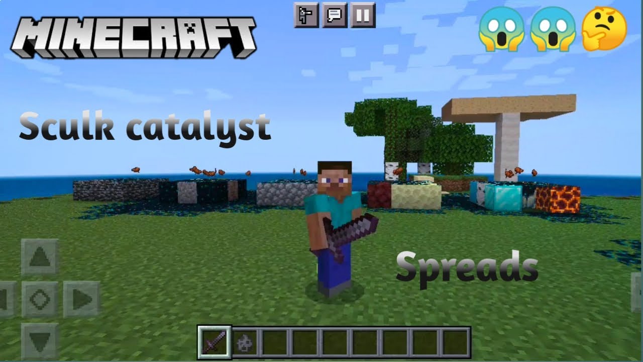 Which blocks can sculk catalyst change 😱🤔//Minecraft//♥️ - YouTube