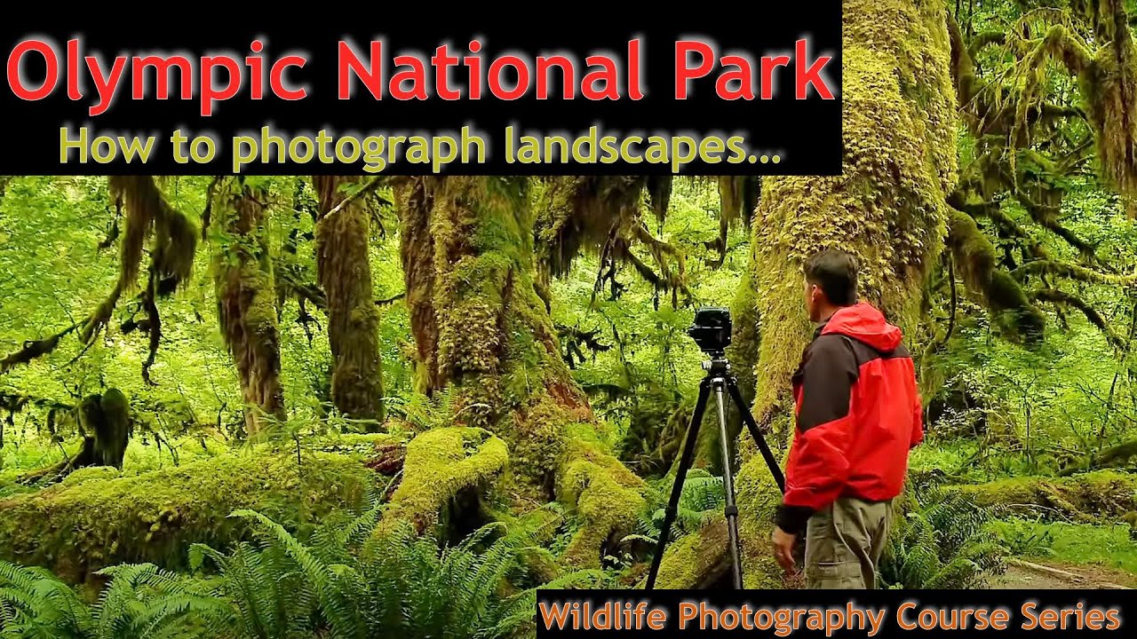 Olympic National Park - Wild Photo Adventures - YouTube