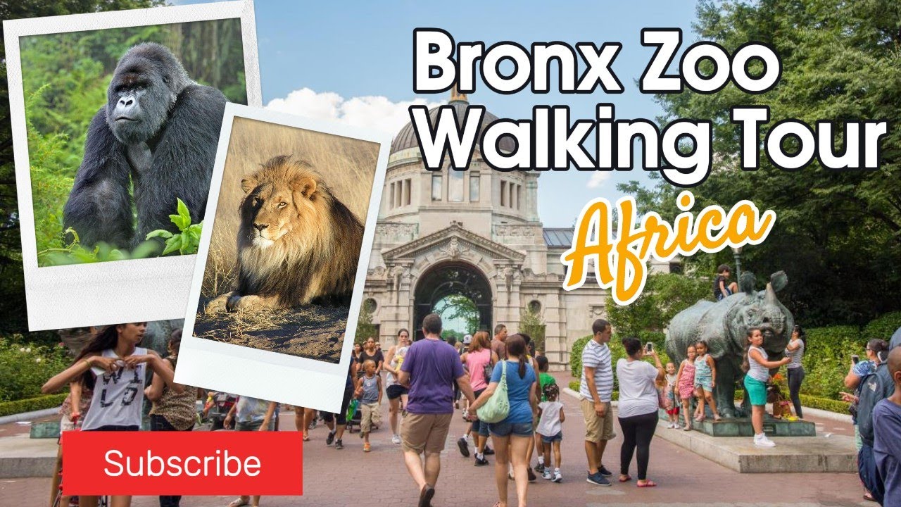 [4K] The Bronx Zoo - Walk Through in 9 Minutes (Africa) - YouTube