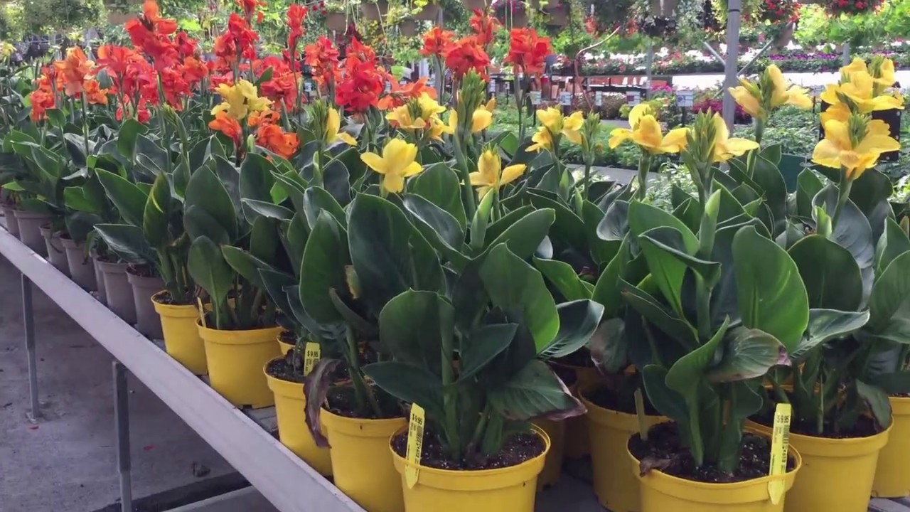 Narsari Visit - YouTube