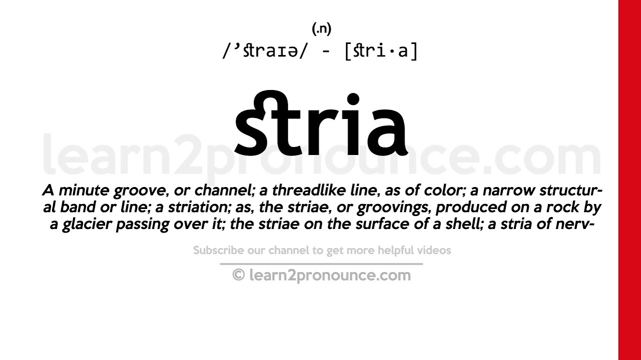 Pronunciation of Stria | Definition of Stria - YouTube