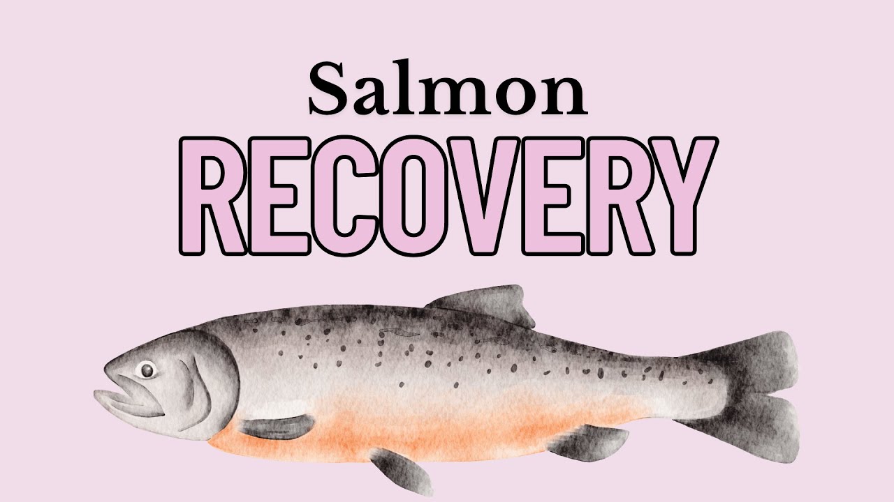 Salmon Recovery - Washington State - Lake Washington Watershed Area ...