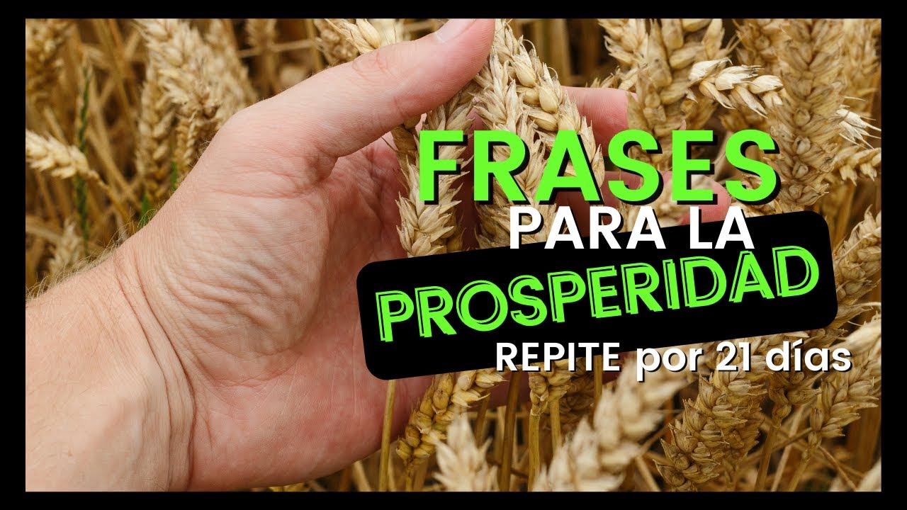 💲 Frases para la Prosperidad 💫 Deja atrás la mentalidad de Carencia l ...
