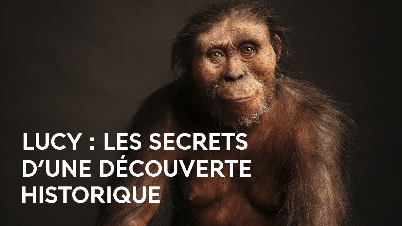 Lucy : les 50 ans d'une découverte - YouTube
