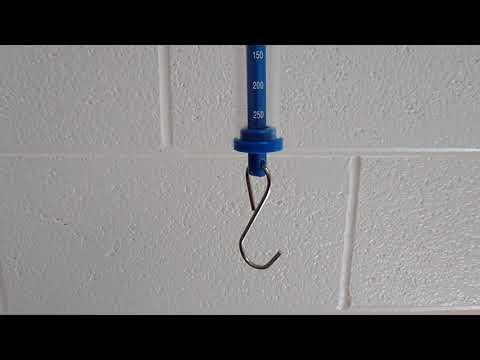 How to Use a Spring Scale - YouTube