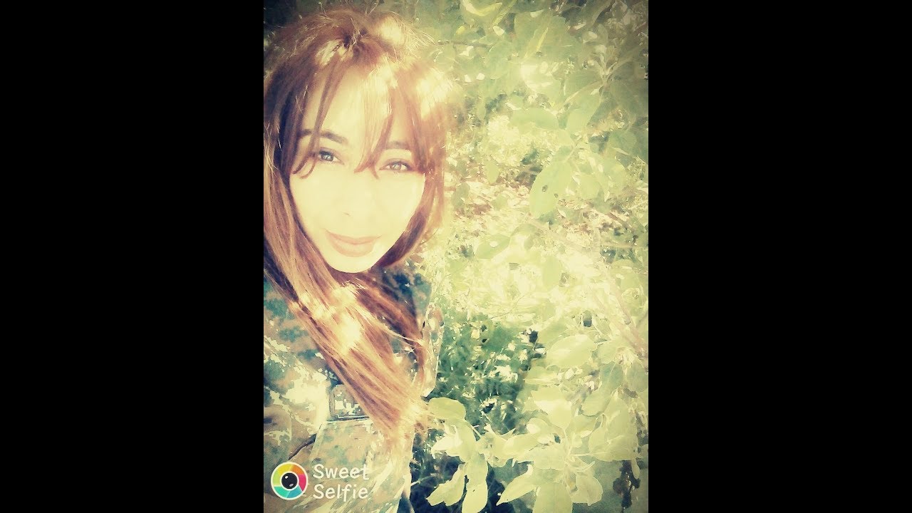 ANI ANTONYAN DASHNAK DRO - YouTube