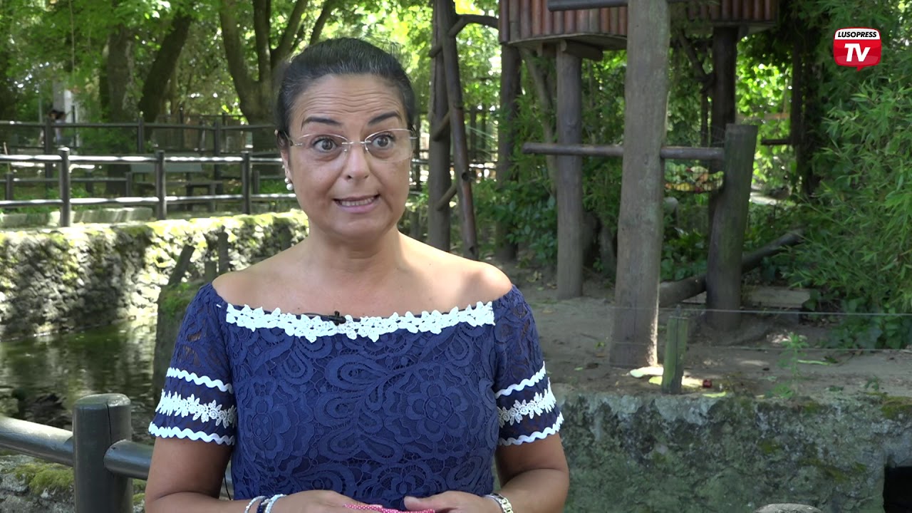 Conheça o Zoo da Maia e apadrinhe um animal - YouTube