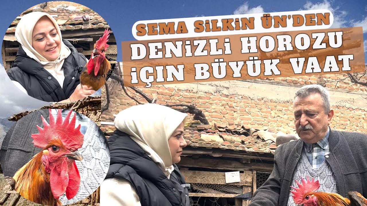 SEMA SİLKİN ÜN’DEN DENİZLİ HOROZU İÇIN BÜYÜK VAAT - YouTube