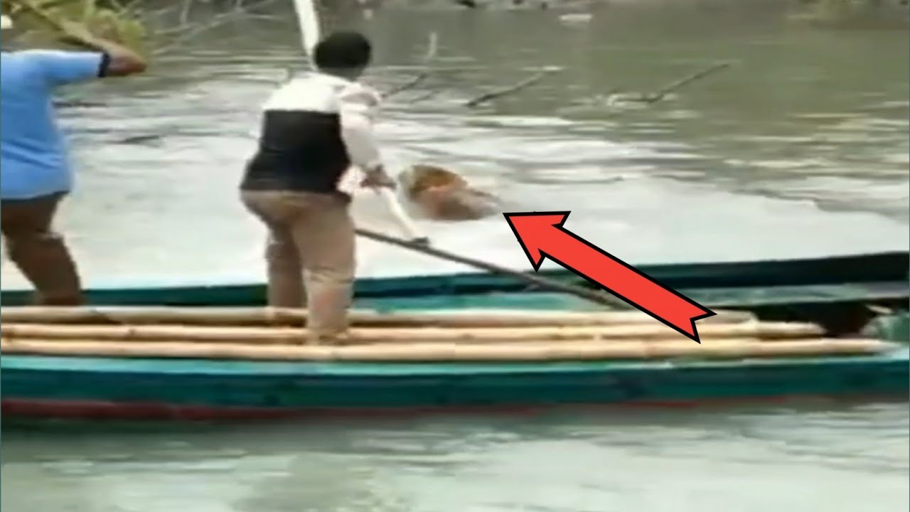 বাঘের সঙ্গে লড়াই করে প্রাণে বাচল ঝাড়খণ্ডের কিছু মানুষ।Soriful islamic studio - YouTube
