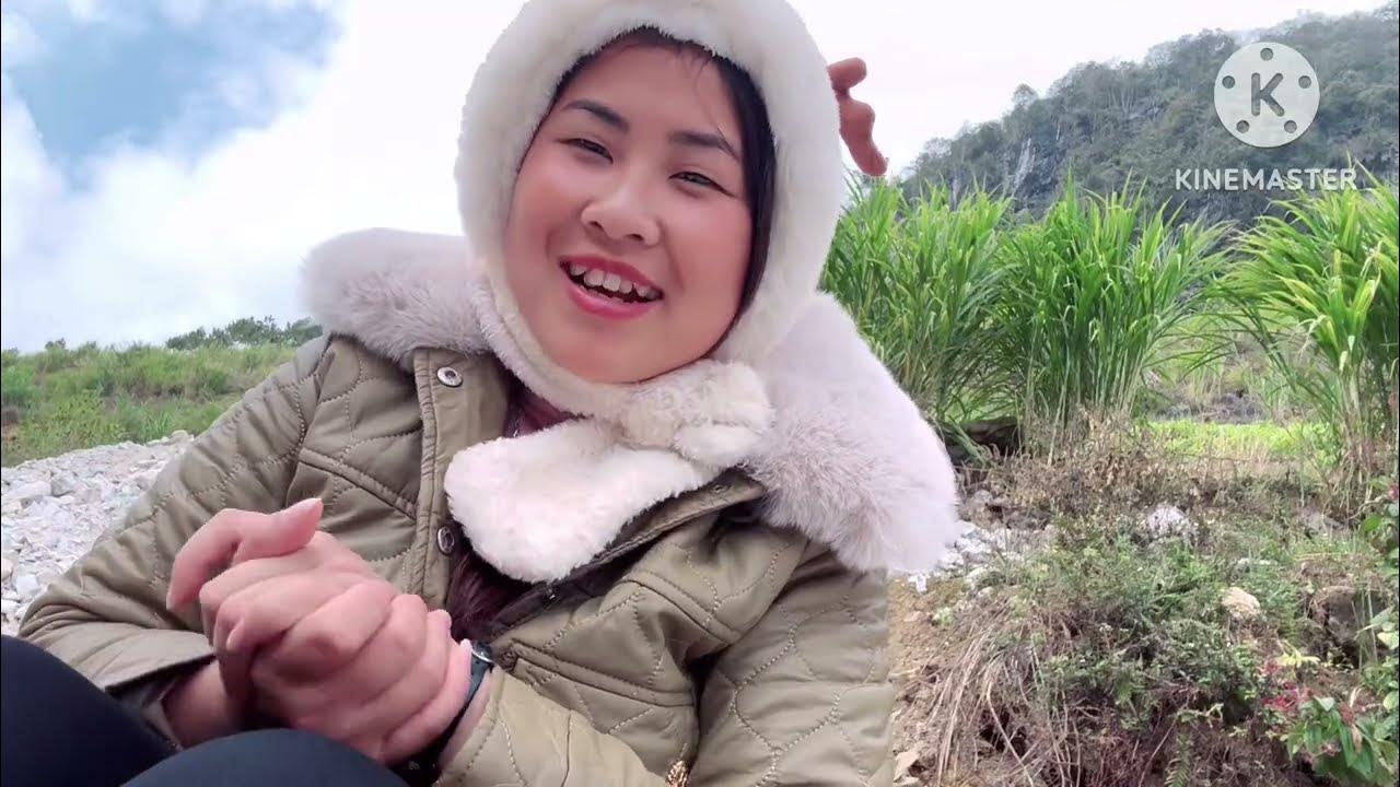 Kab zuag xyooj mus hauj lwm Los tog tsis tsheb mus tsev yog vim li cas - YouTube