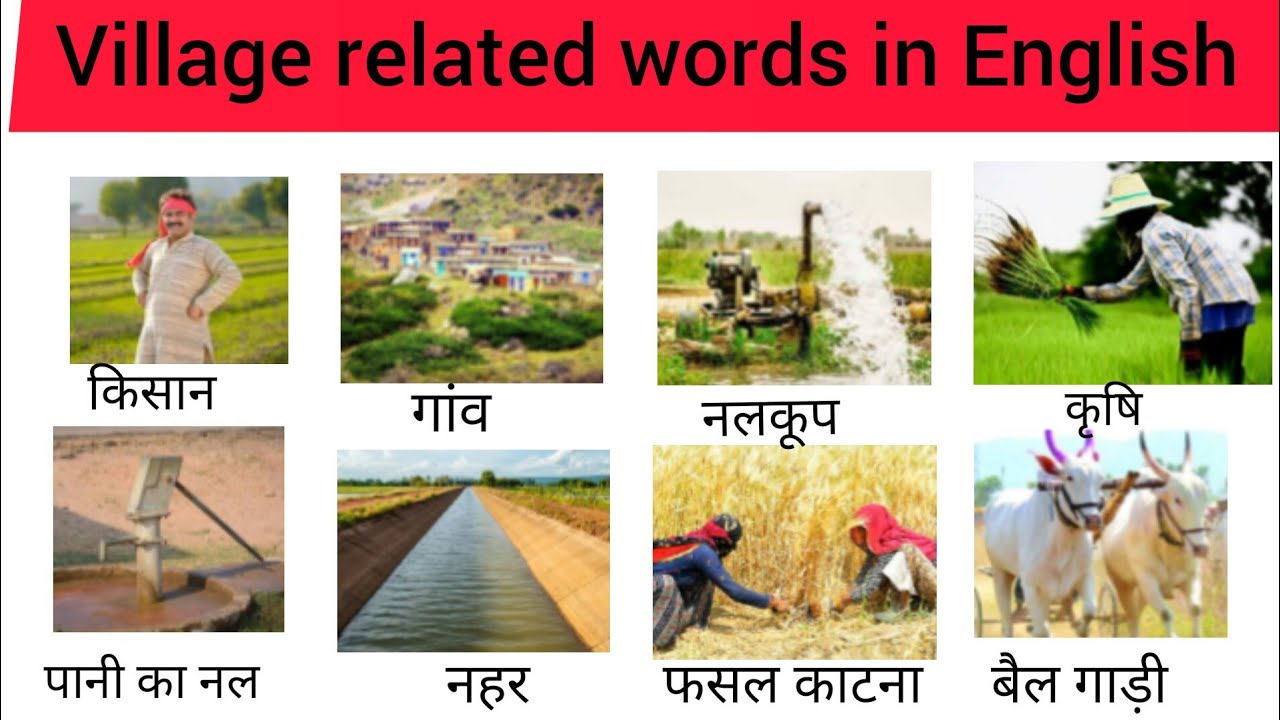 Village related Vocabulary //Village related words meanings// - YouTube