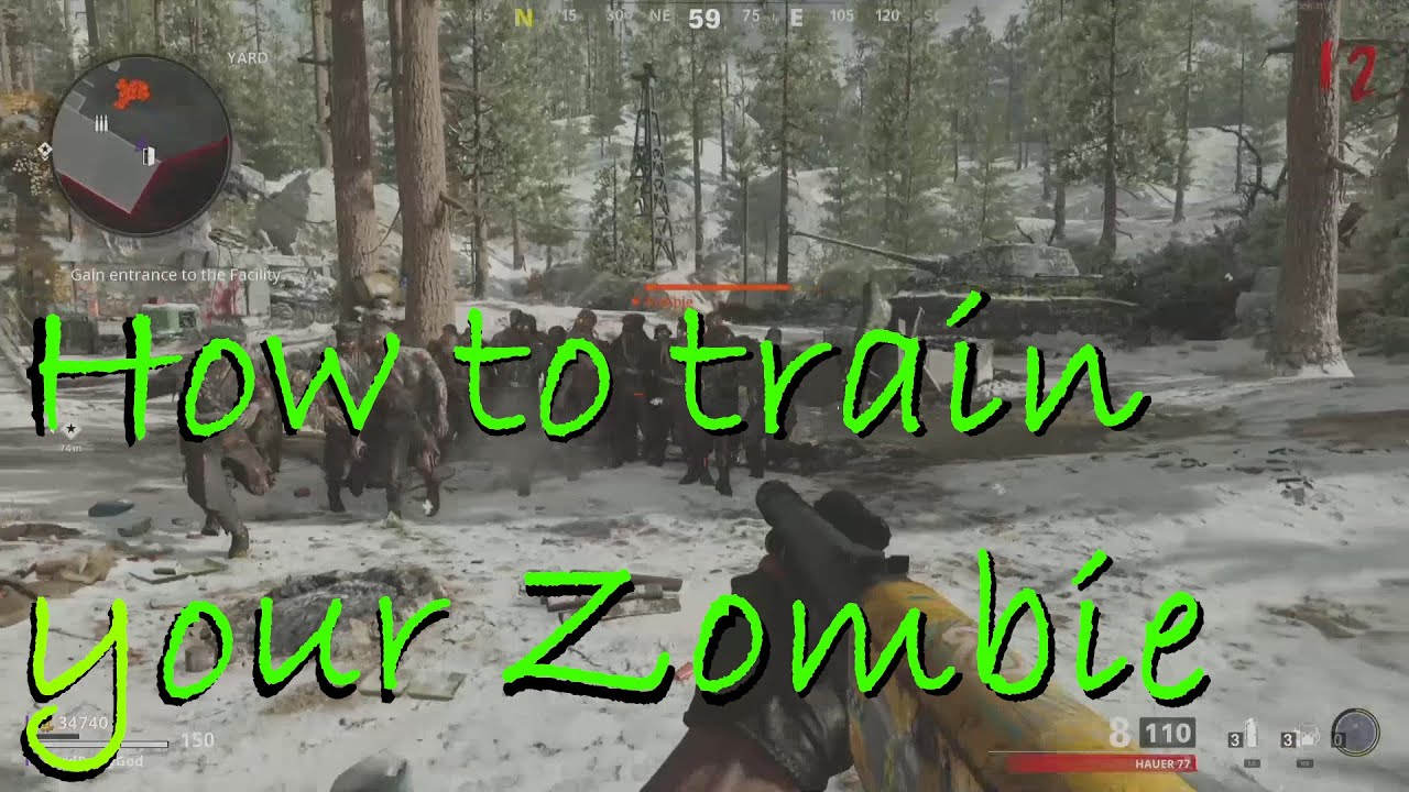 How To Train Zombies in Call of Duty - YouTube