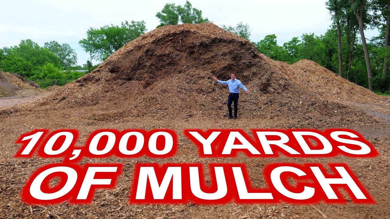 HOW I MAKE 10,000 YARDS OF MULCH - YouTube