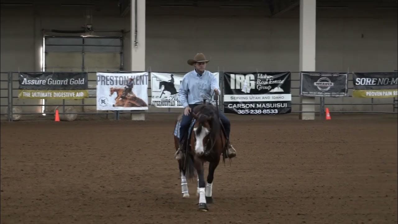 Waynard Schmidt riding DP Bigbadjohn - Geldings/Stallions IRHA Aug 2024 ...
