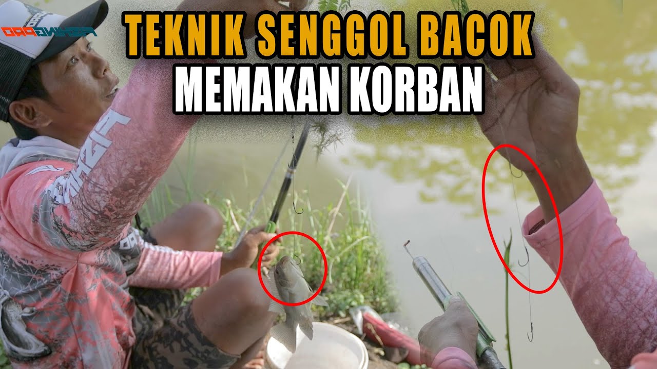 Mancing Dengan Teknik SENGGOL BACOK, ikan apa yang didapat ...