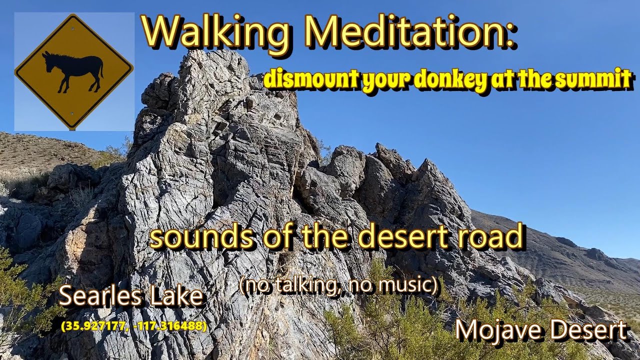 Walking Meditation: dismount your donkey at the summit ☮ Tao ☮ ASMR ...