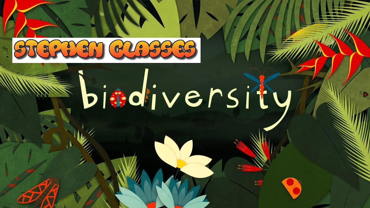 Biodiversity Class 12 Revision Class YouTube biodiversity-class-12-revision-class-youtube