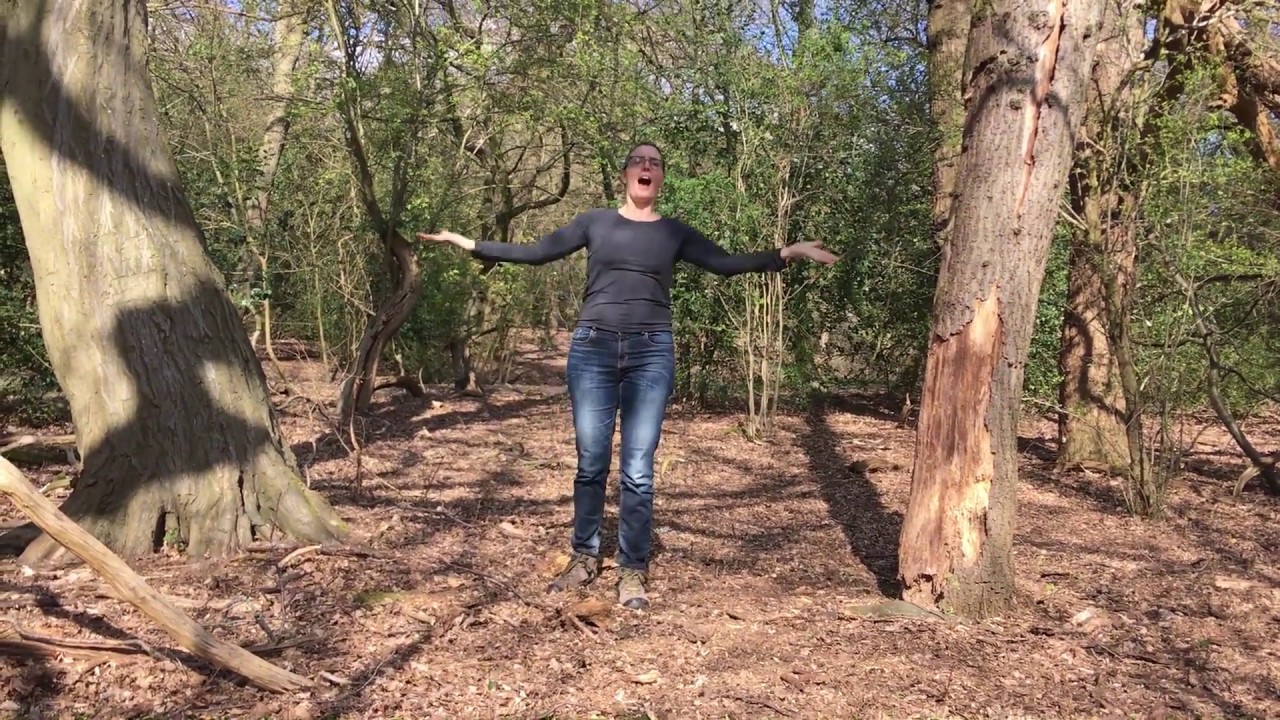 Tall Trees - YouTube