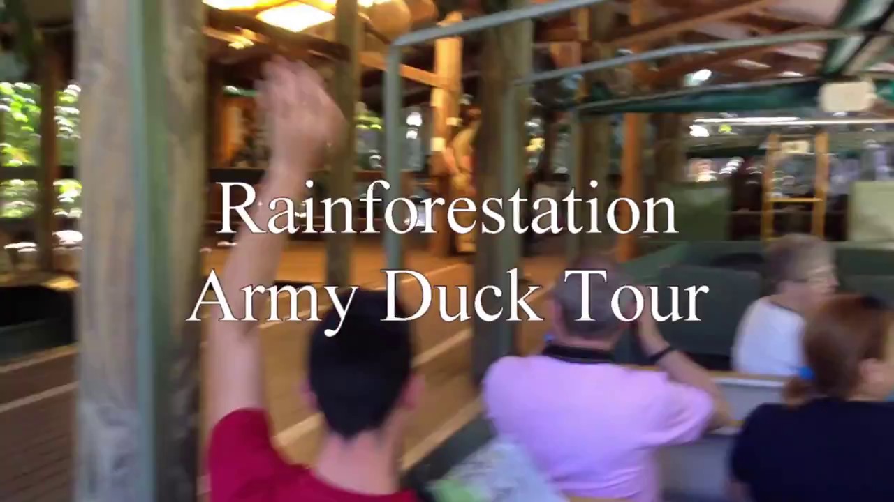 Rainforestation Army Duck Tour - YouTube