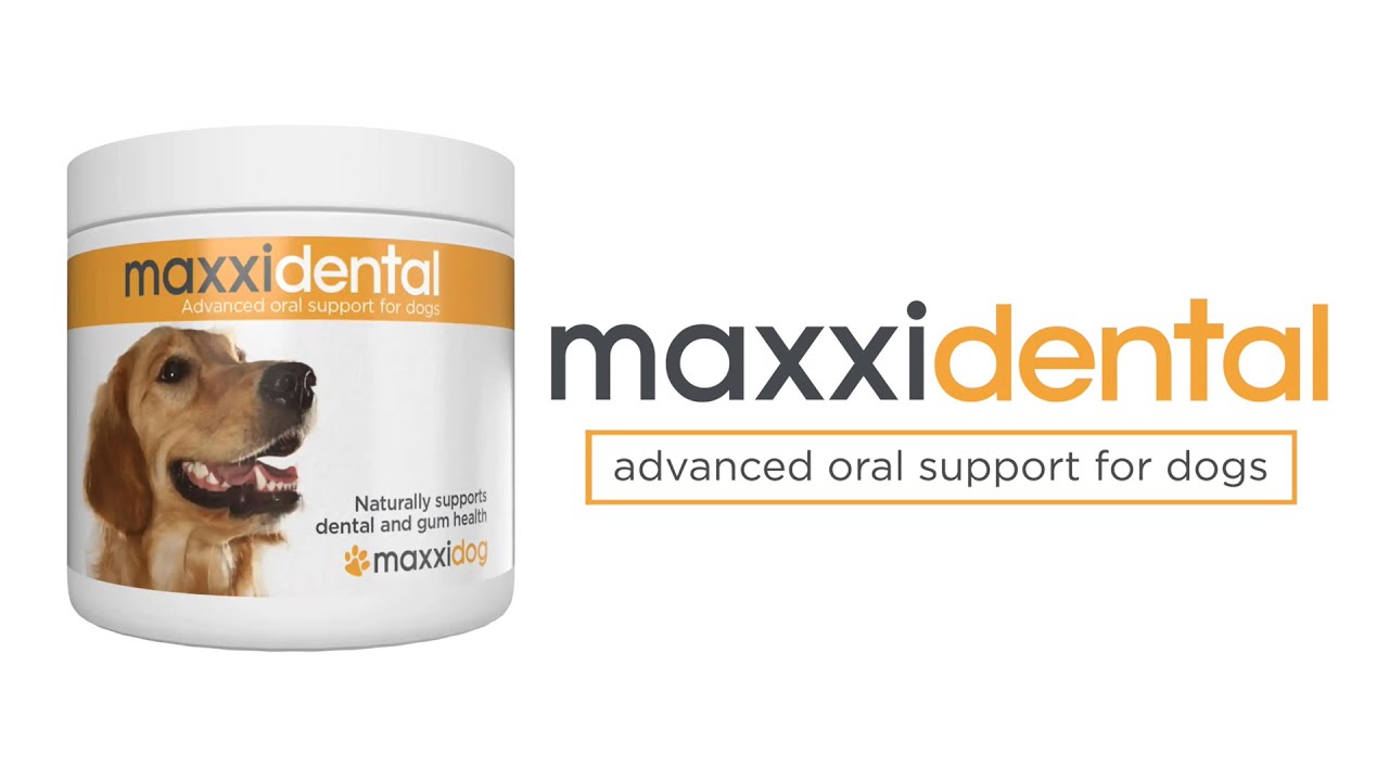 maxxidental advanced oral support for dogs video - YouTube