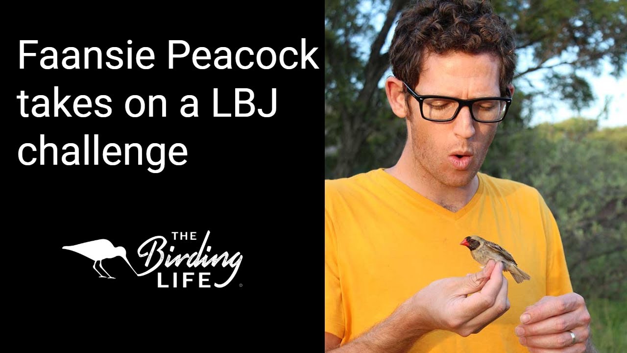We try to stump Faansie Peacock with a LBJ Challenge - YouTube