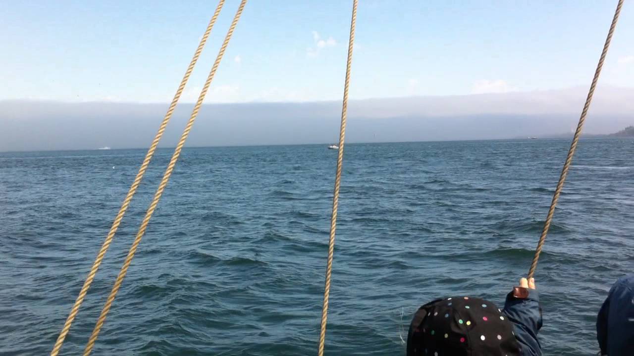 Picture 043 - YouTube