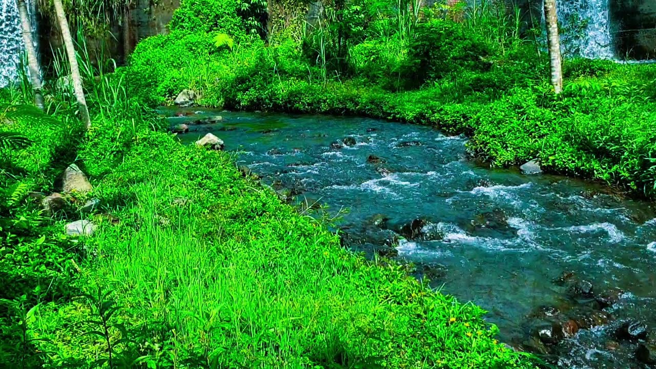 Babbling Brook, Creek Sounds, Water Stream Relaxing Nature Sounds Stress Relief, Study, Deep ...
