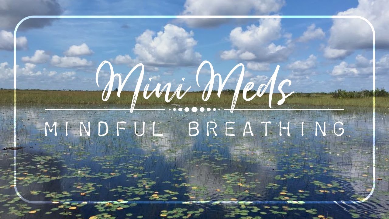 Mini Meditation | MINDFUL BREATHING | Quick Guided Meditation to find ...