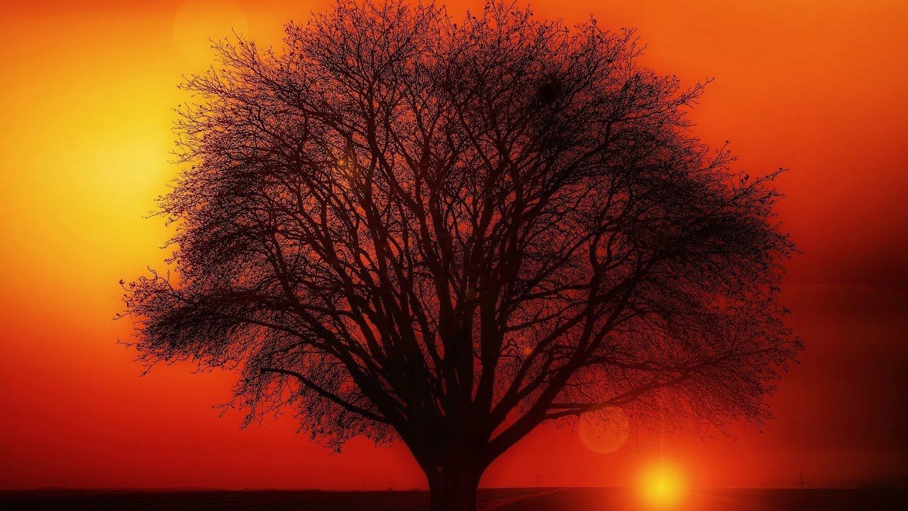 slow & relaxing no copyrightmusic for background ⭐ - YouTube