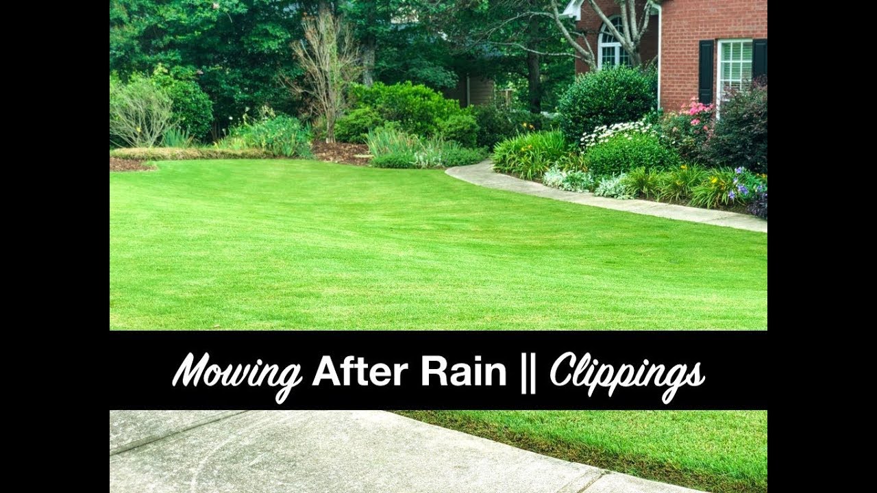 MOWING AFTER RAIN - LAWN CARE || The Southern Reel Mower - YouTube