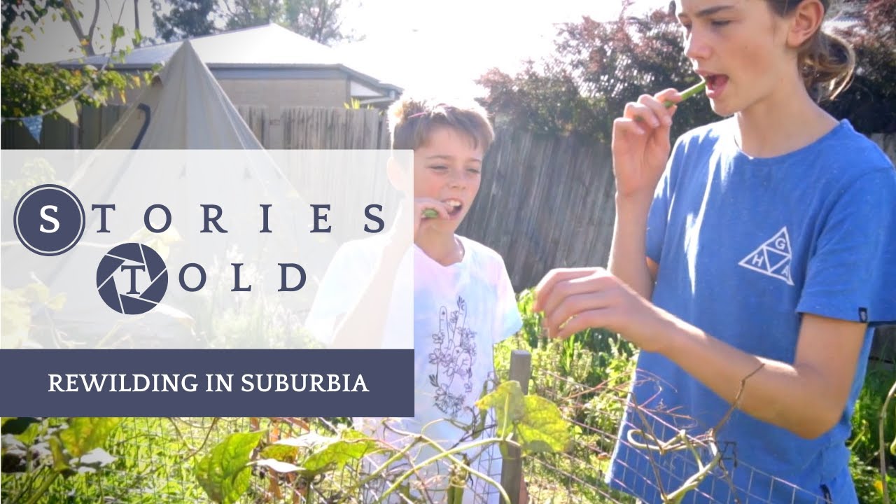 The Melbourne family 'Rewilding In Suburbia' | Stories Told - YouTube