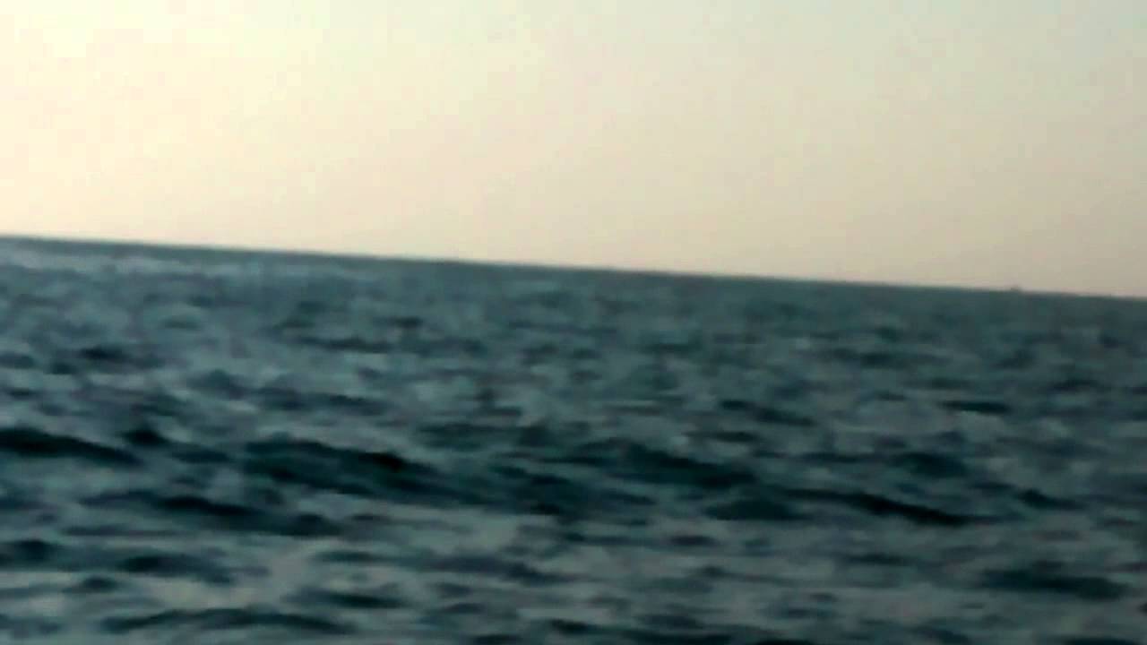Dolphins at Sangham Tarkarli devbag karli river - YouTube