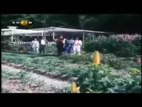 Mustaffa Noor - YouTube