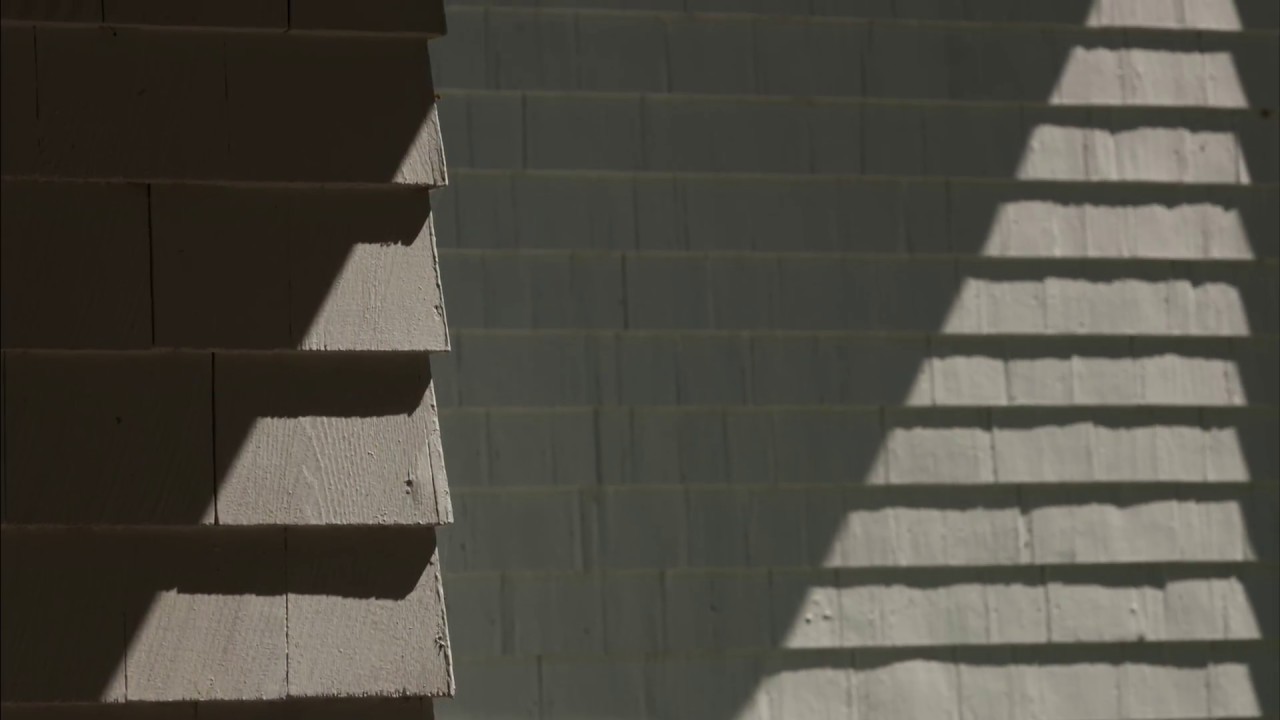 How To Photograph With Harsh, Direct Sunlight - YouTube